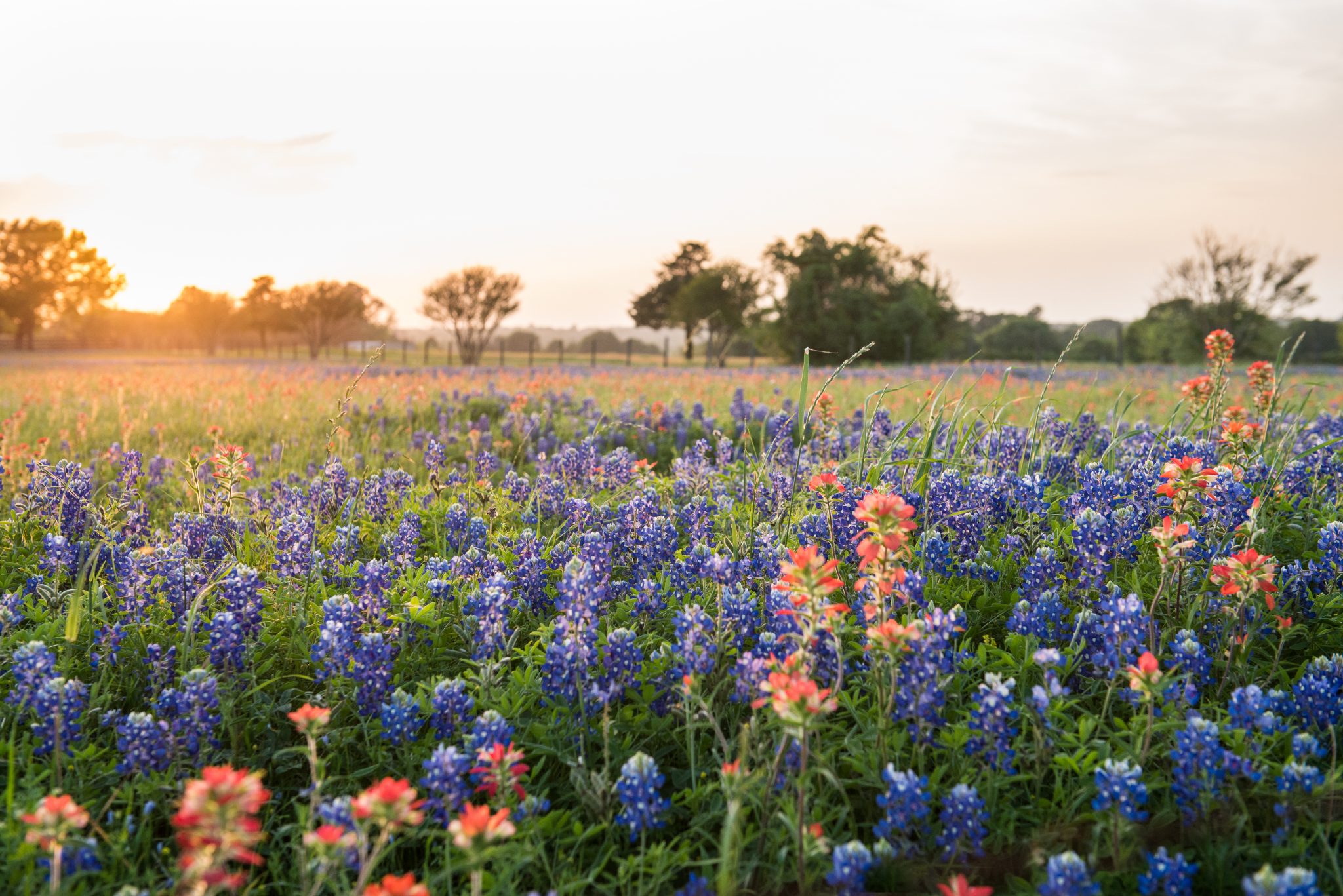 Picture Perfect Places to Visit Around Brenham - Visit Brenham Texas