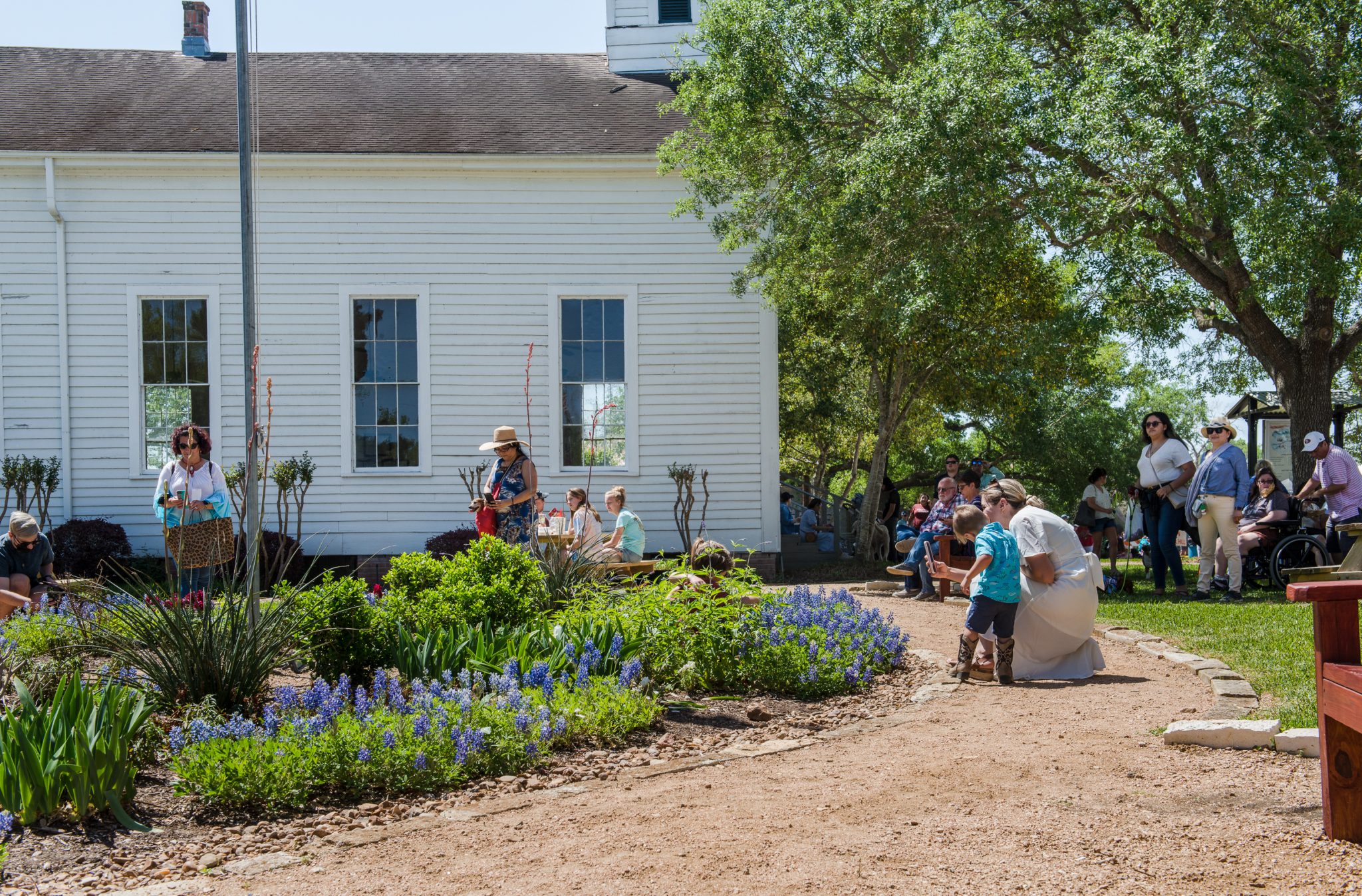 Chappell Hill Bluebonnet Festival - Visit Brenham Texas
