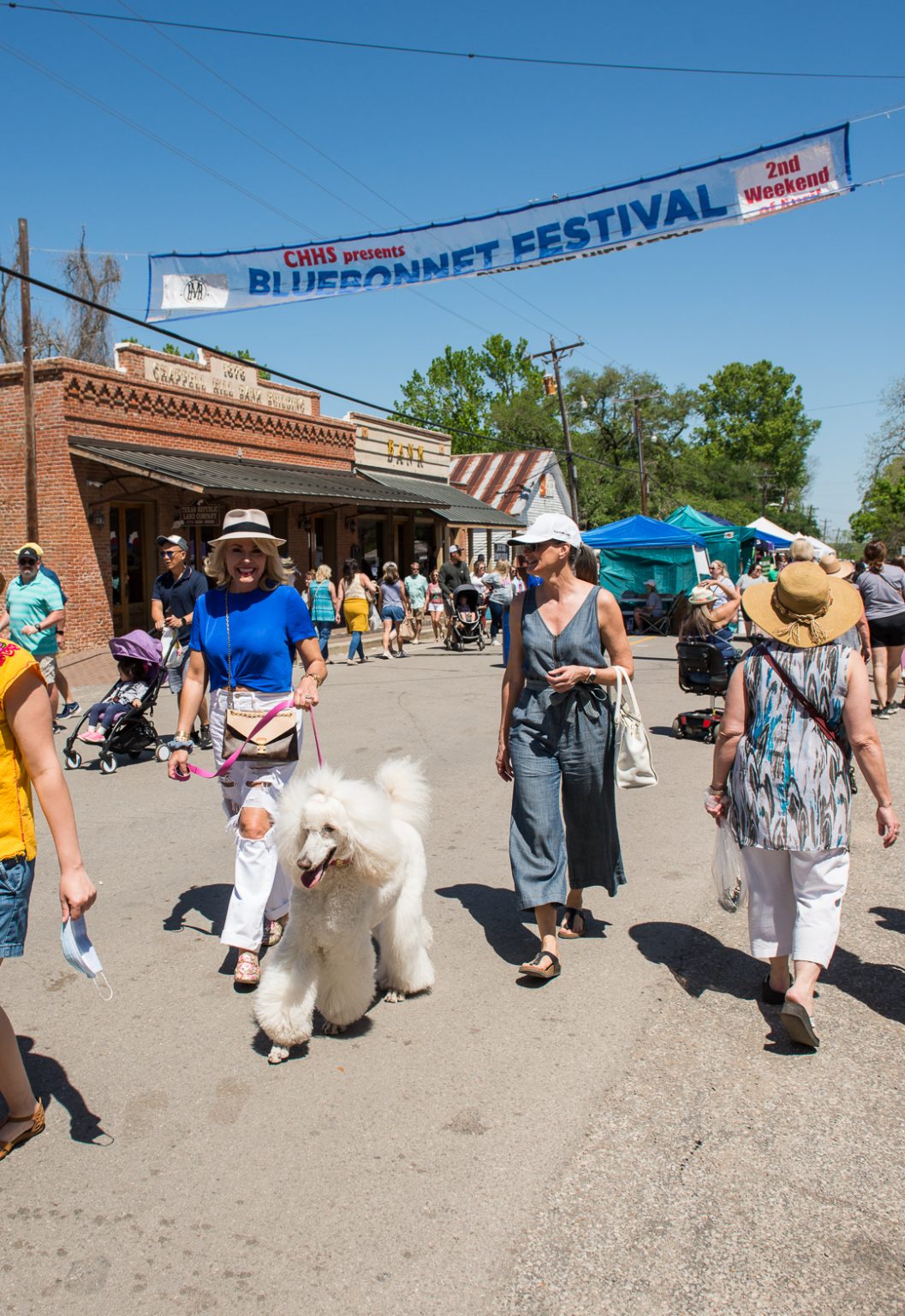 Chappell Hill Bluebonnet Festival - Visit Brenham Texas