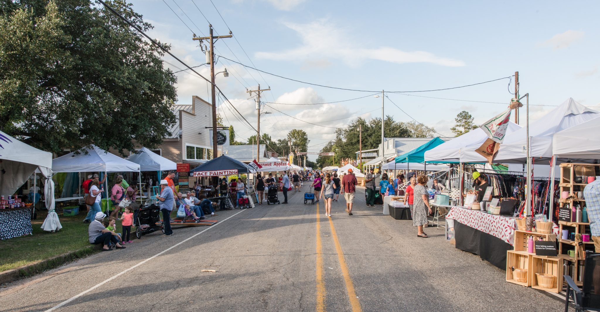 Chappell Hill Bluebonnet Festival - Visit Brenham Texas